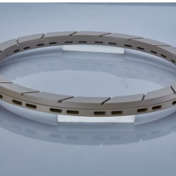Retaining Ring for your CMP Tool